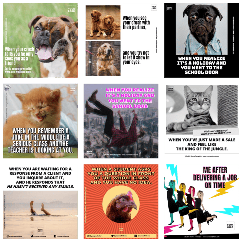 Look At All The Meme Template