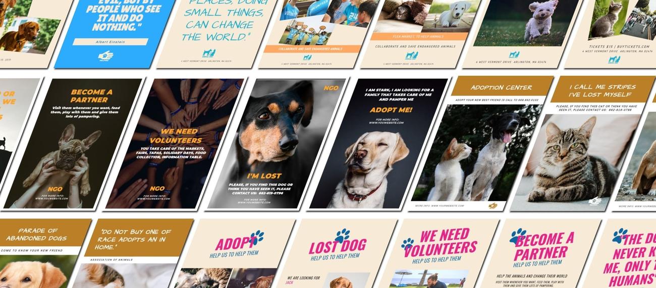 Diseño de banners gratis para ONGs